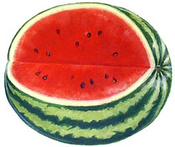 SANDIA